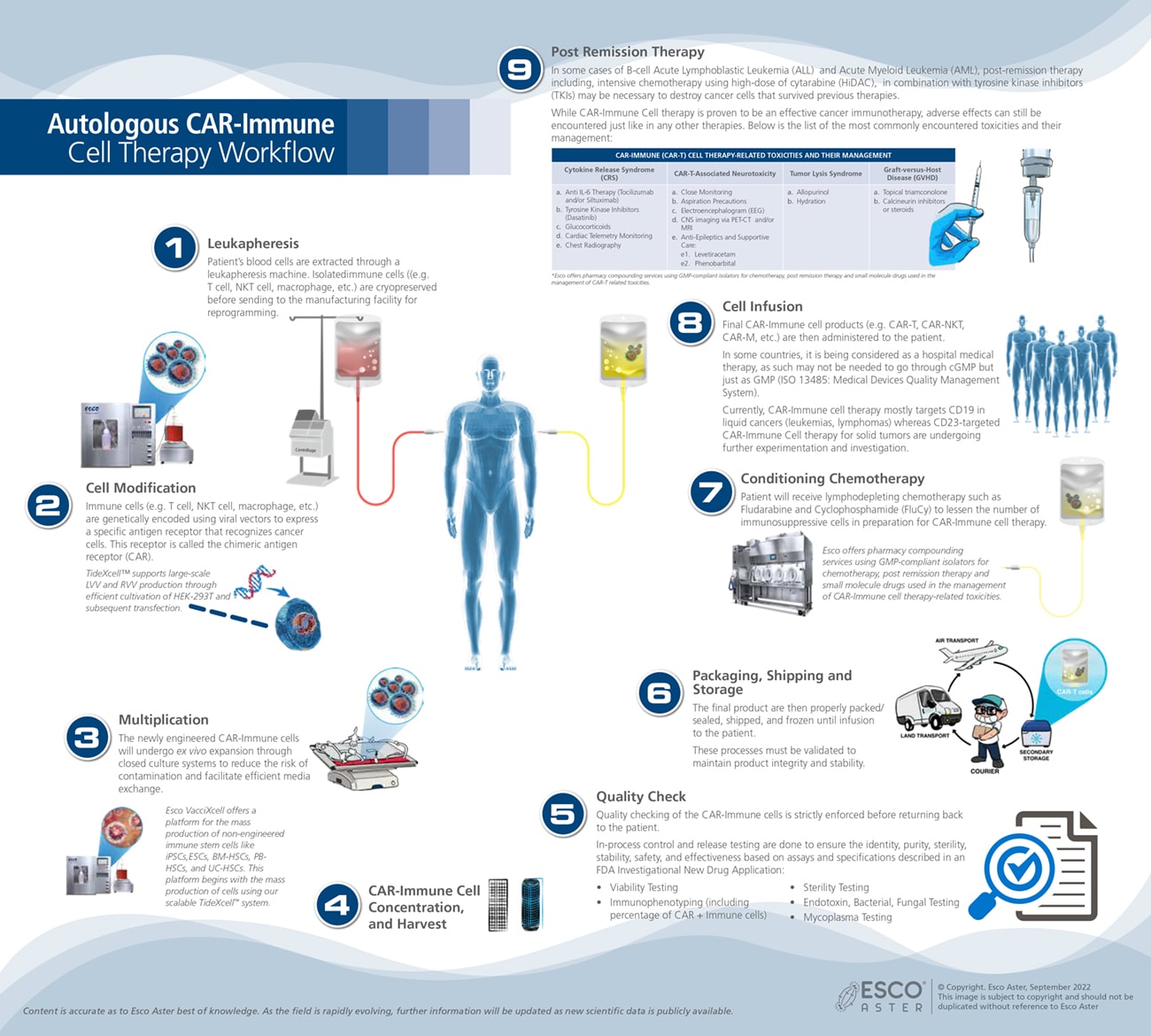 Genetically-modified Cell Therapy | Esco Aster