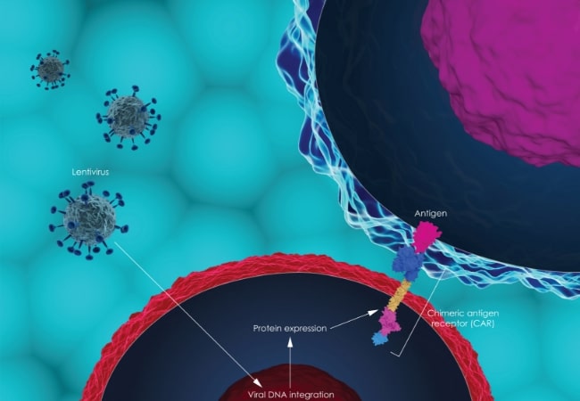 Genetically-modified Cell Therapy | Esco Aster