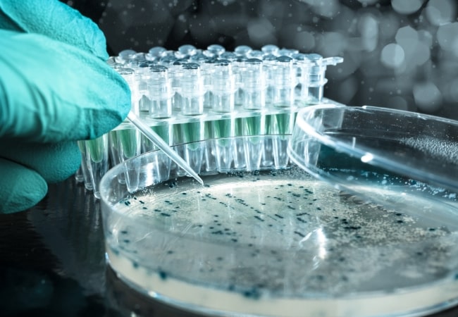 Genetically-modified Cell Therapy | Esco Aster