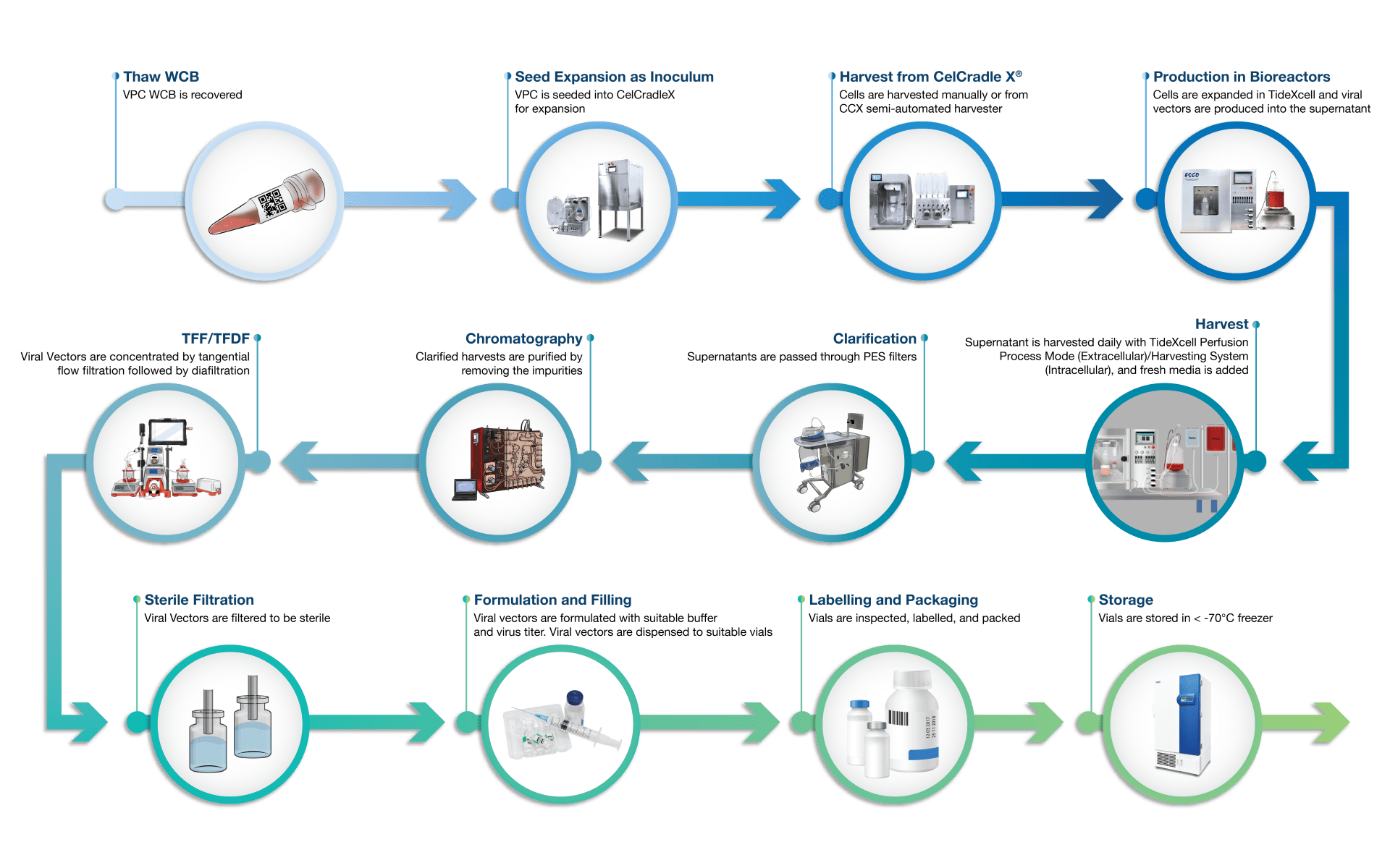 Adeno-associated Viral Vector Production Services | Esco Aster