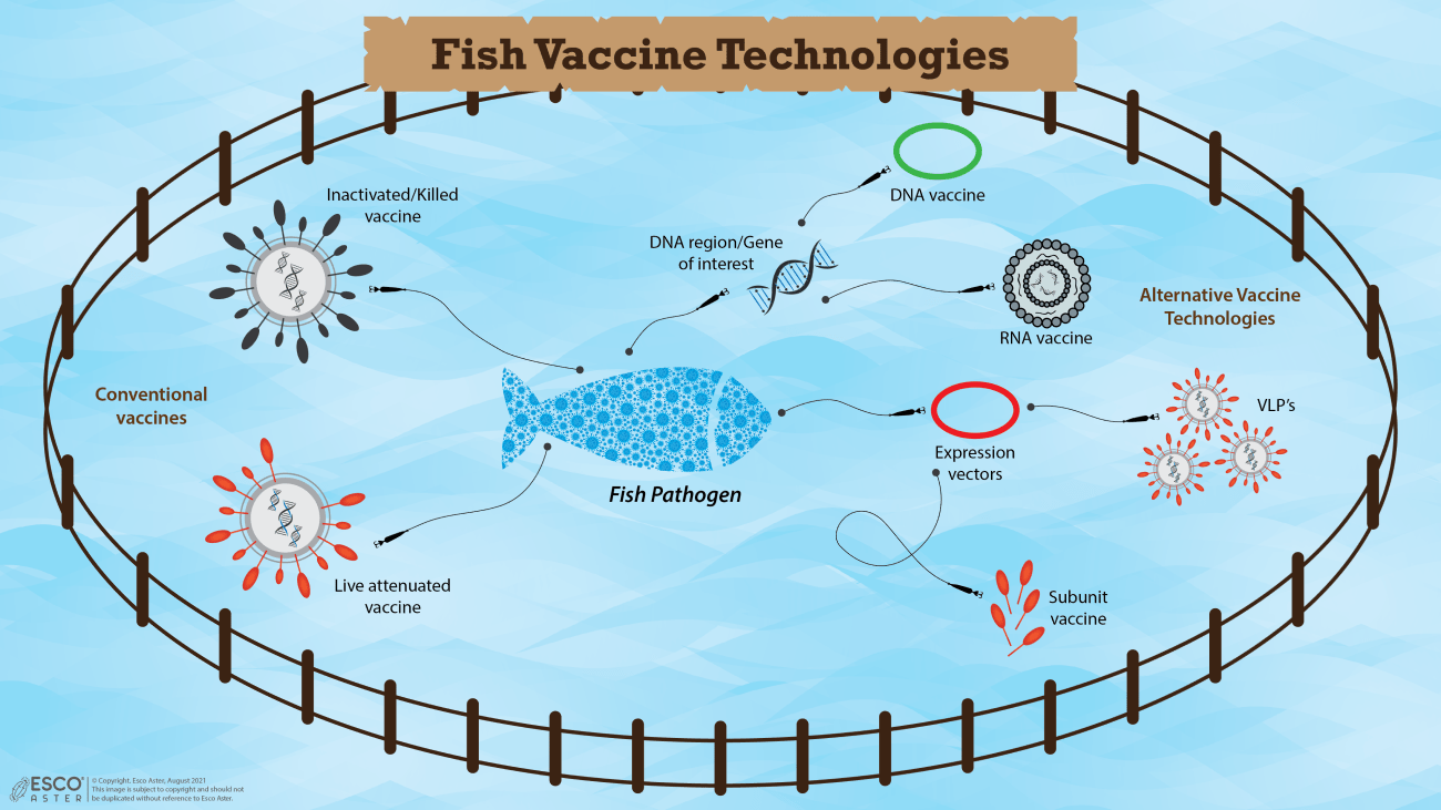 Vaccine Development and Manufacturing Services | Esco Aster
